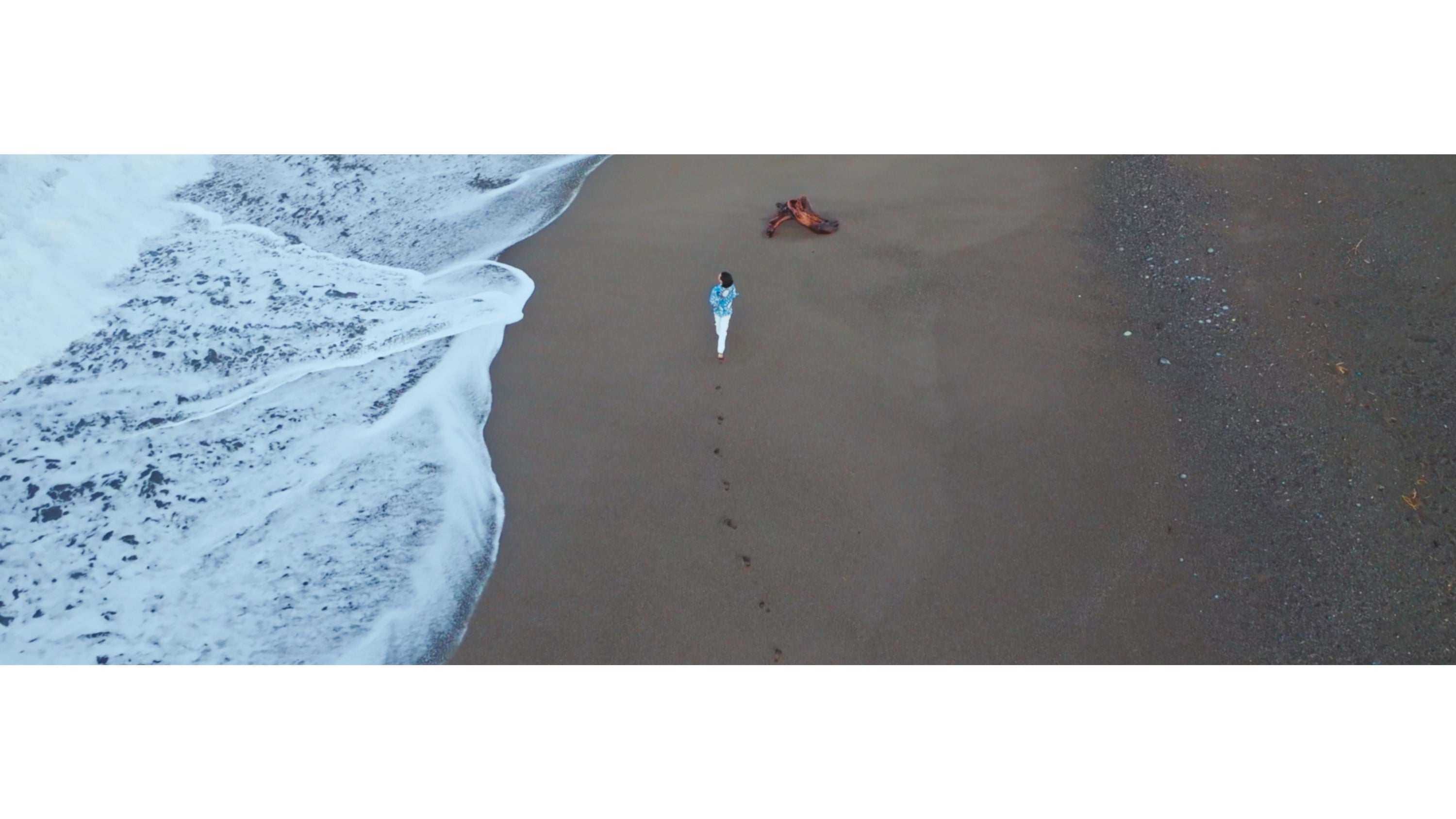 Kiyo Merch - Official Site